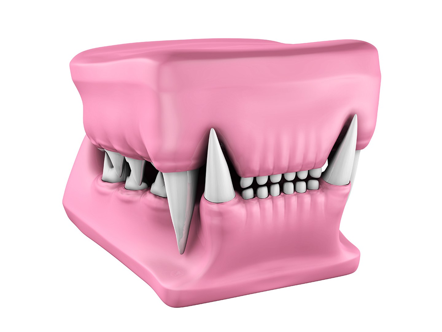 3d cat teeth cast model