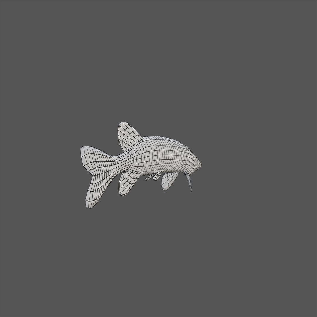 3D low-poly pike fish animations model - TurboSquid 1622390