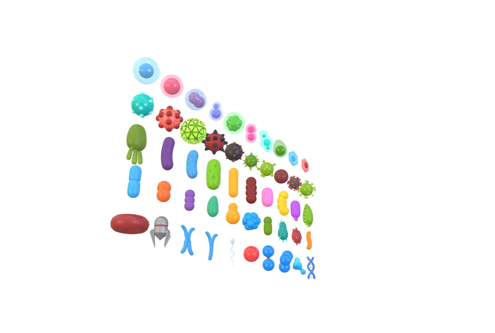 3D Biology Pack Model - TurboSquid 1721209