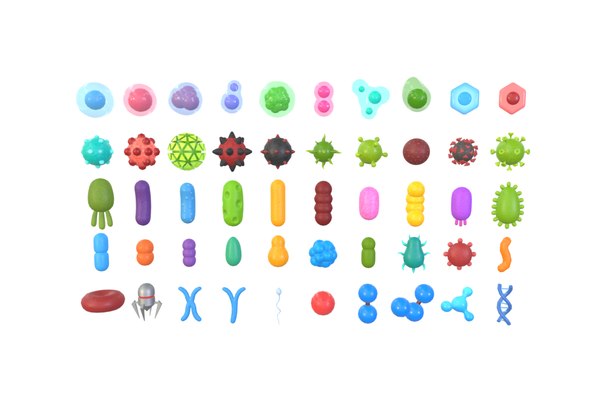 Bacteria 3D Models for Download | TurboSquid