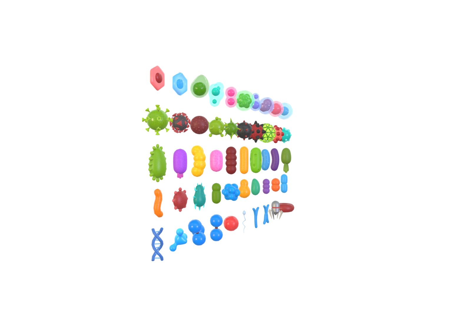 3D Biology Pack Model - TurboSquid 1721209