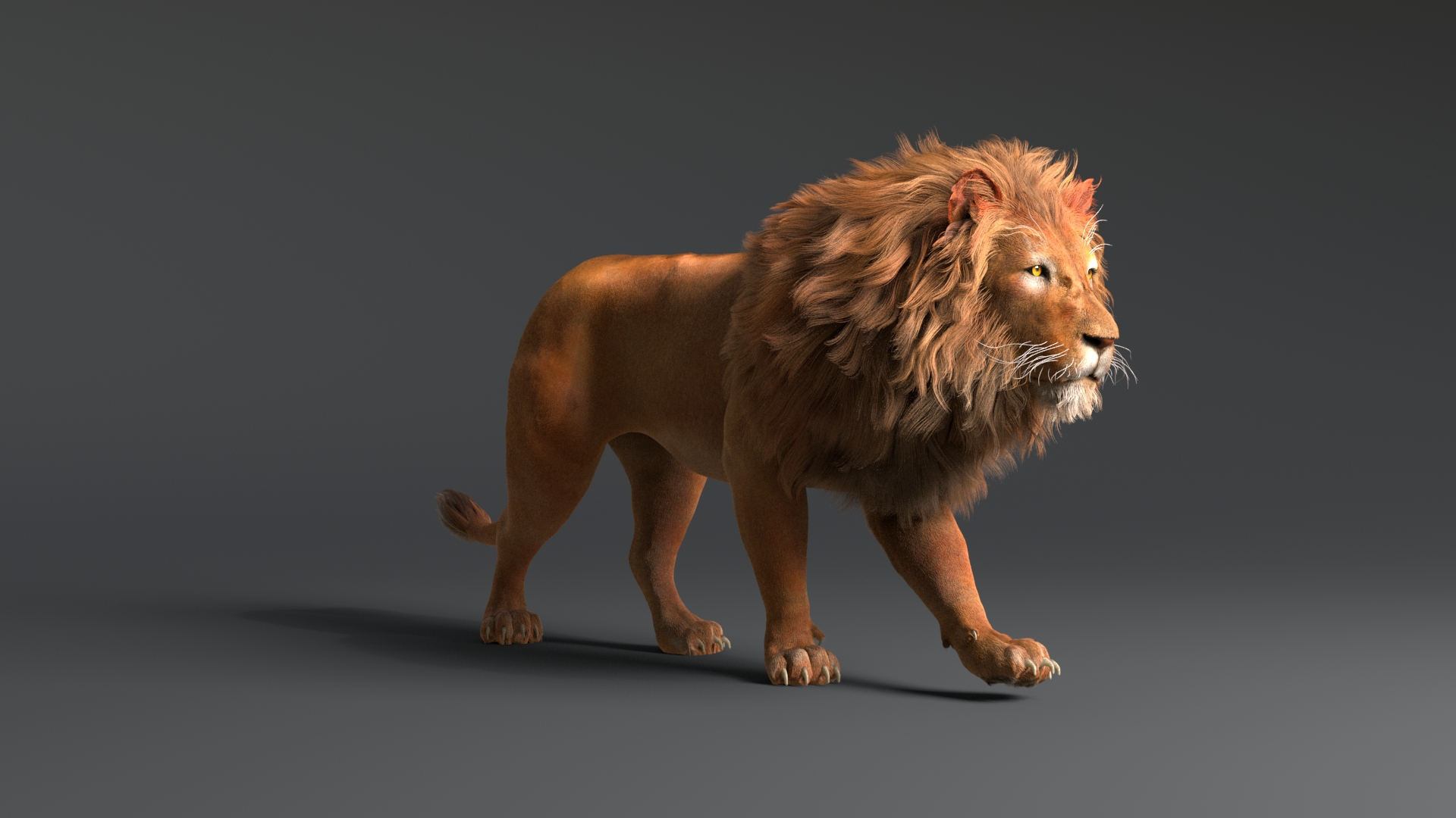 3D Model Rigged Animation Lion - TurboSquid 1519933