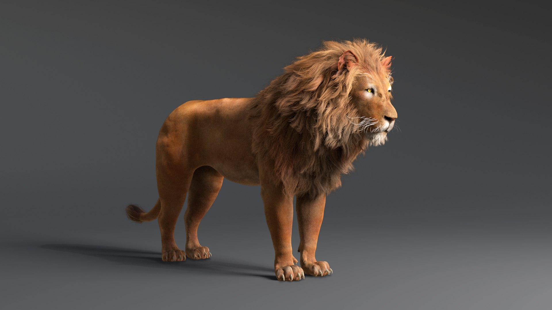 3D Model Rigged Animation Lion - TurboSquid 1519933