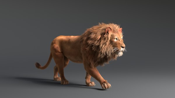 modelo 3d León con Fur Rig Animado - TurboSquid 1519933