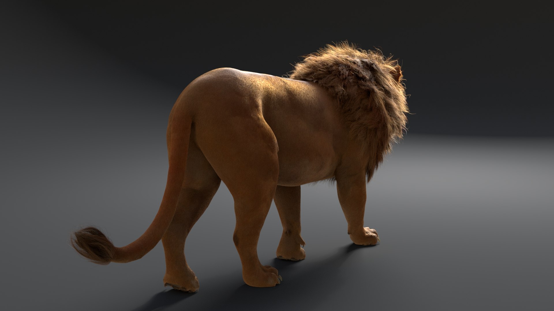 3D Model Rigged Animation Lion - TurboSquid 1519933