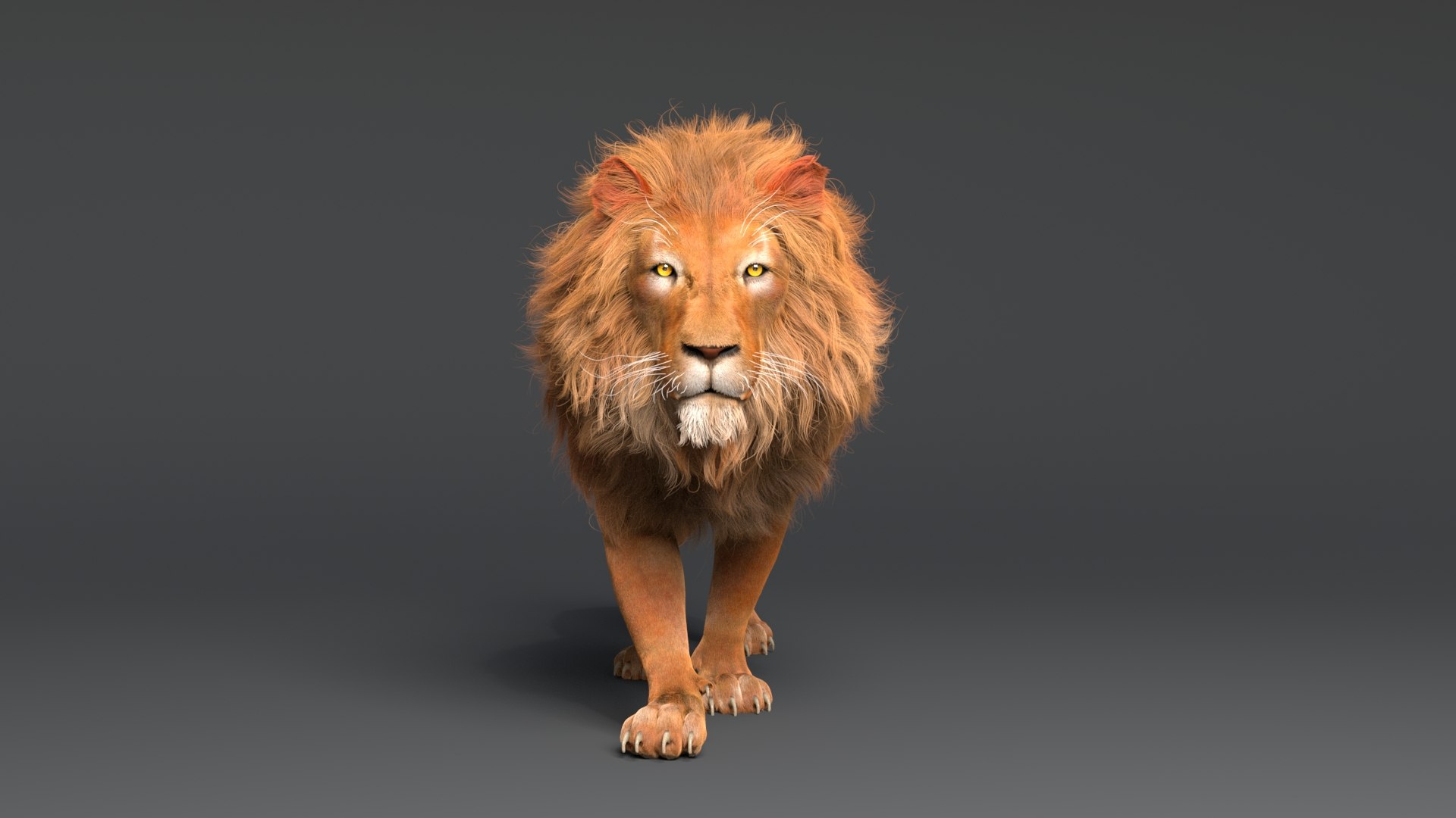 3D Model Rigged Animation Lion - TurboSquid 1519933