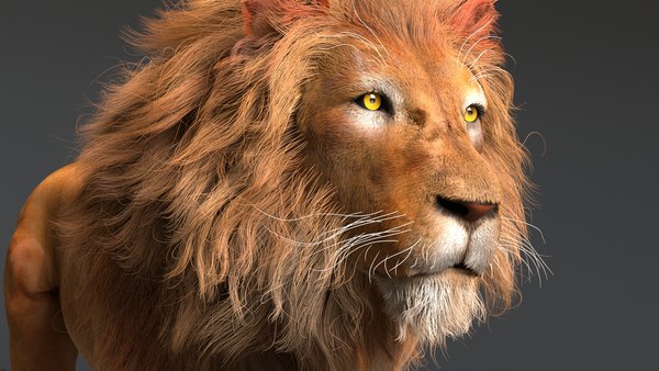 3D model rigged animation lion - TurboSquid 1519933