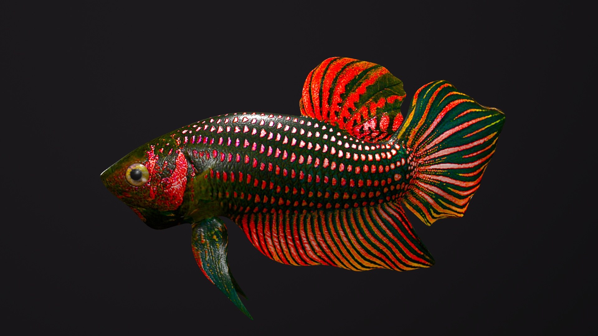3D Fish - TurboSquid 2257863