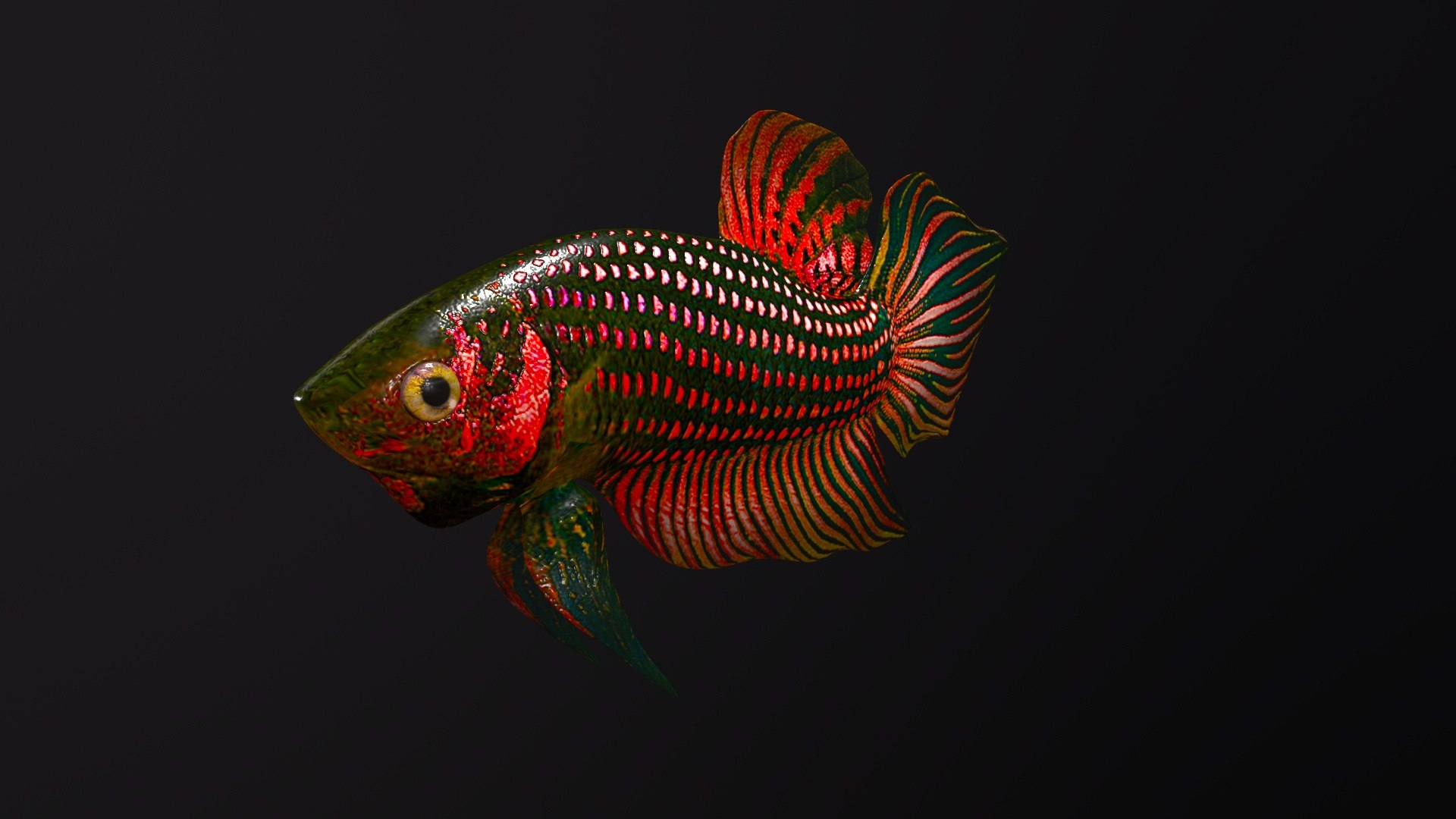 3D Fish - TurboSquid 2257863