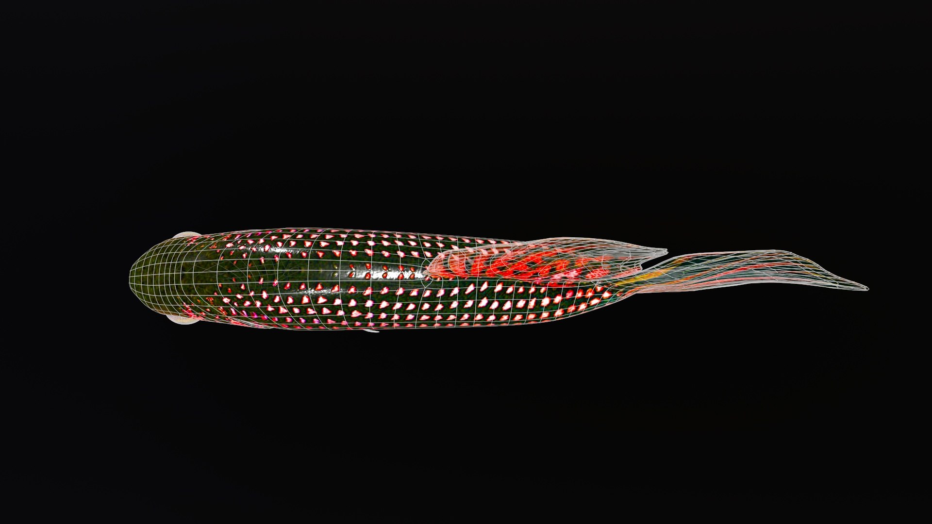 3D Fish - TurboSquid 2257863
