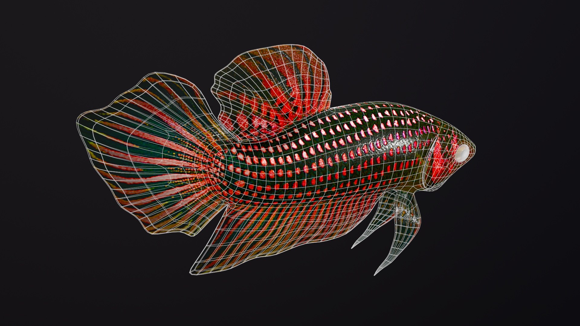 3D Fish - TurboSquid 2257863