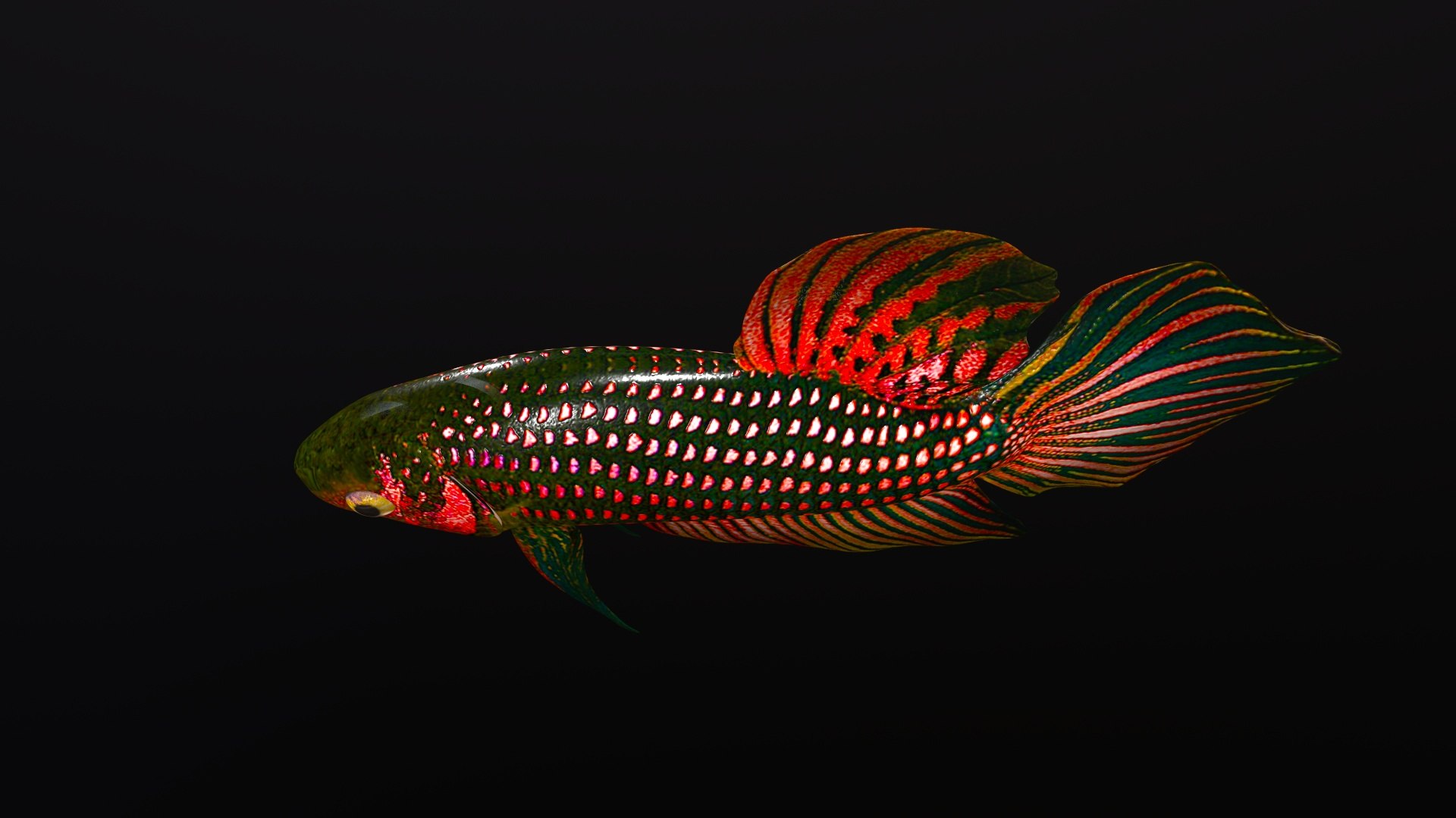 3D Fish - TurboSquid 2257863
