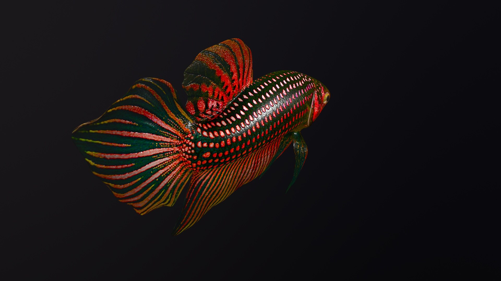 3D Fish - TurboSquid 2257863