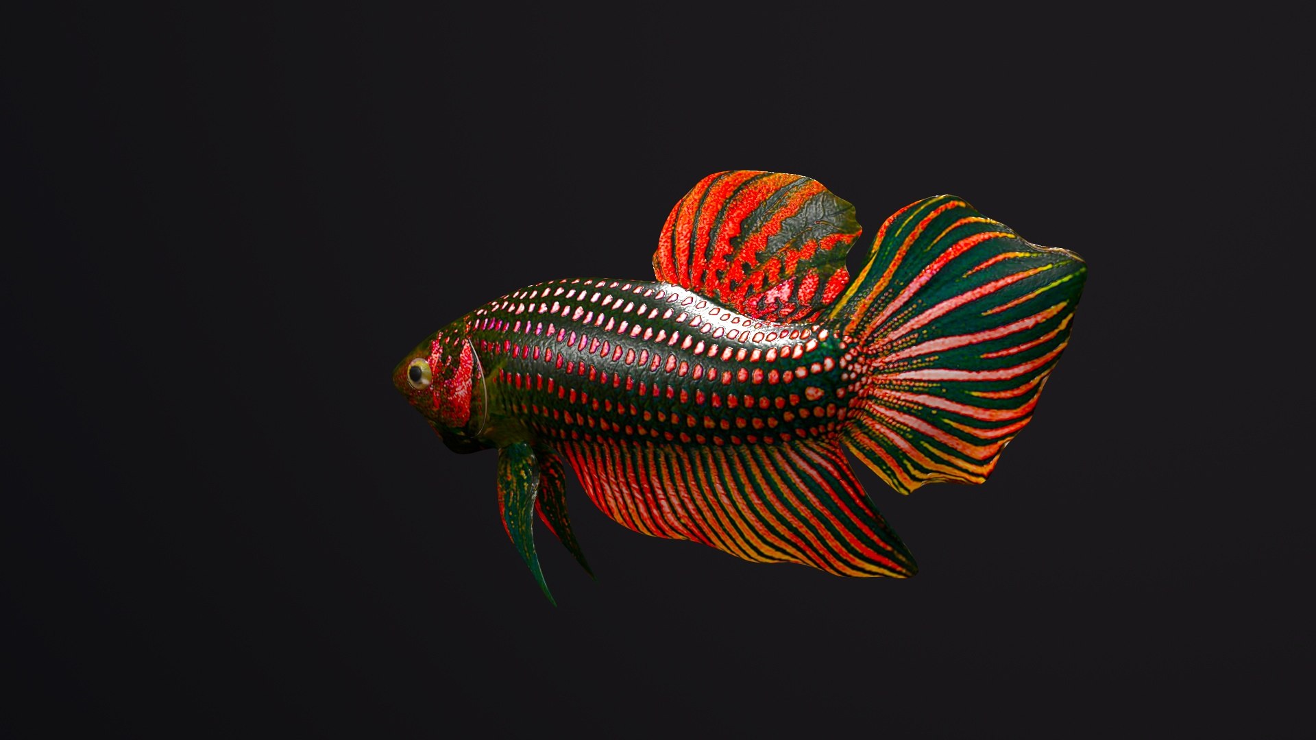 3D Fish - TurboSquid 2257863