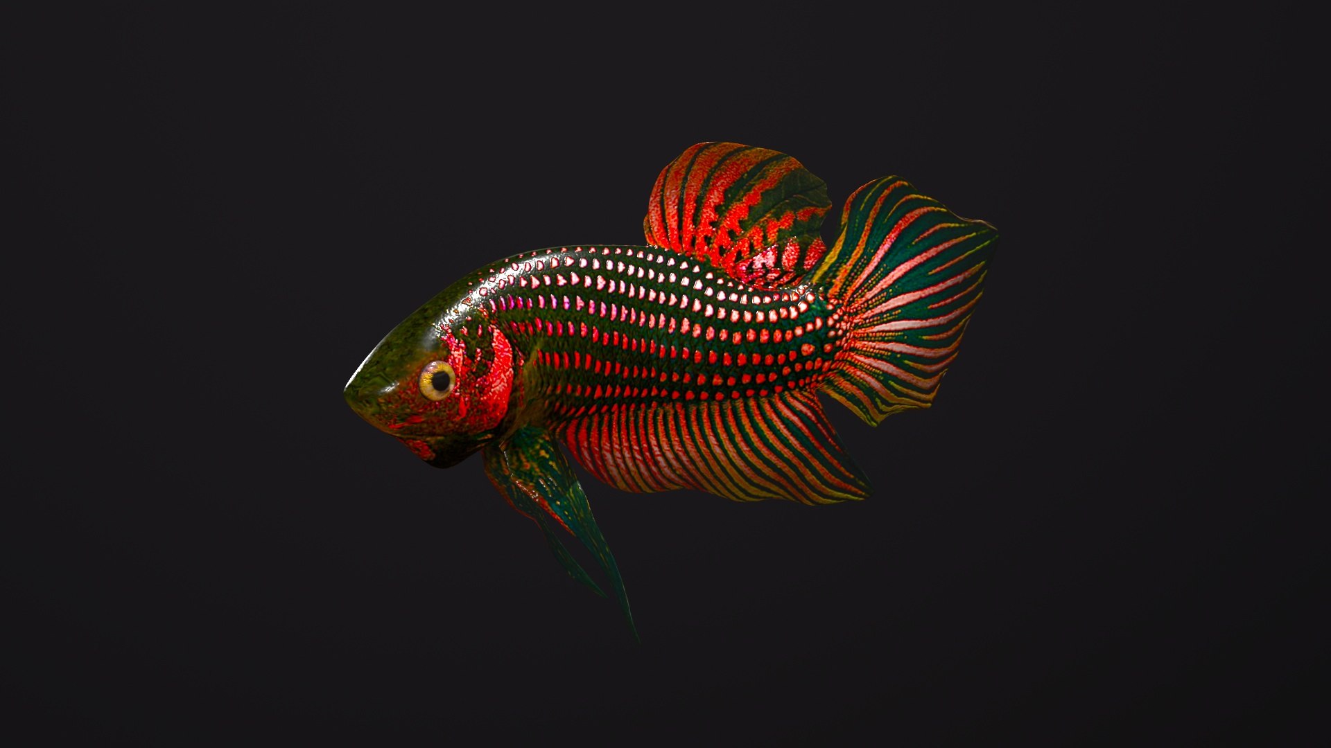 3D Fish - TurboSquid 2257863
