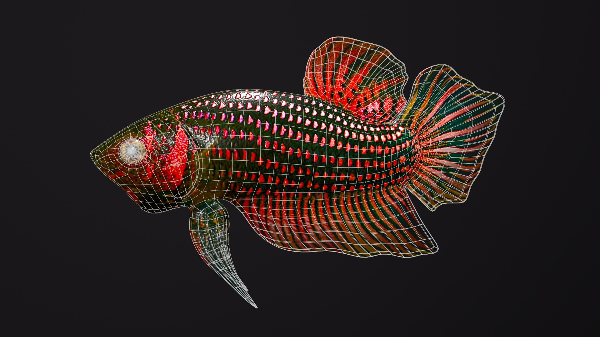 3D Fish - TurboSquid 2257863