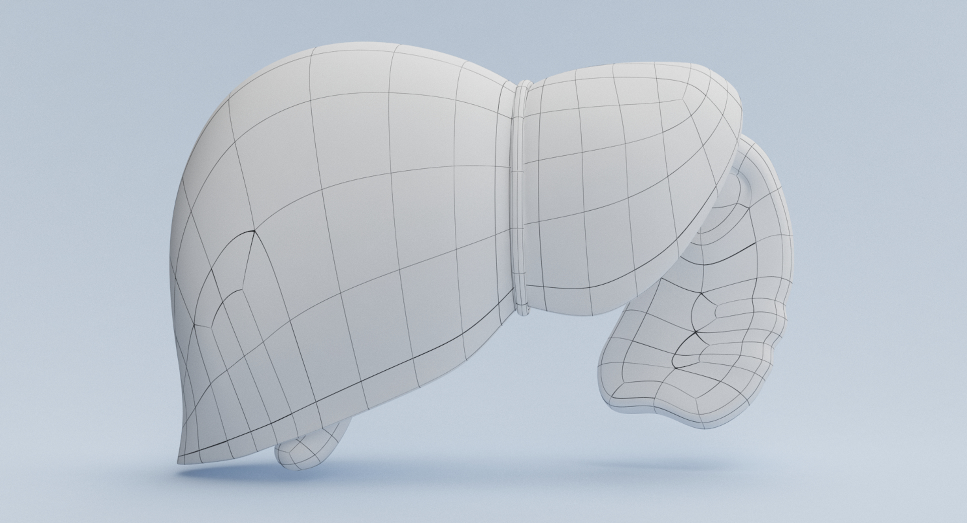 3d model of liver