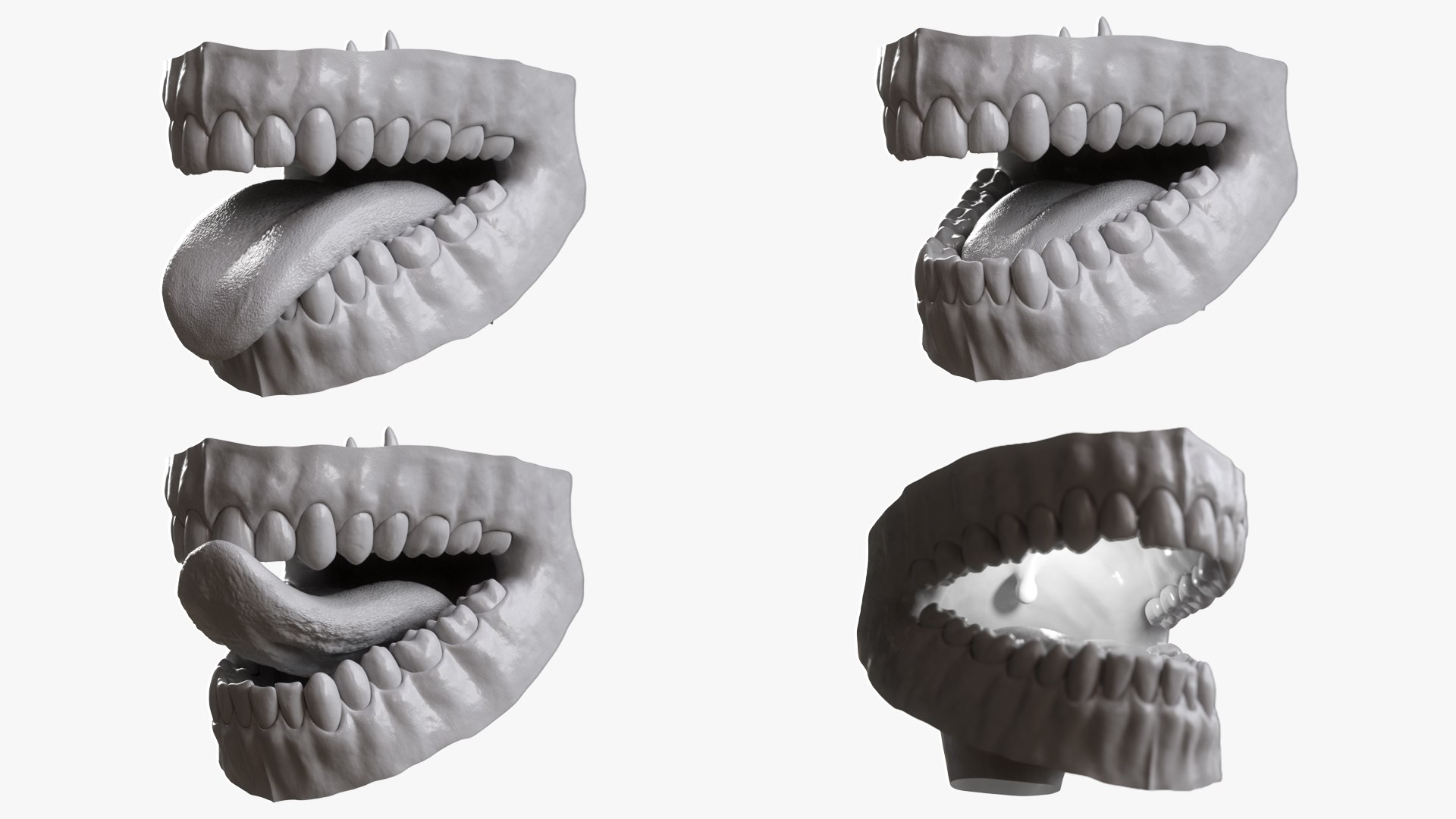 3D Model Realistic Mouth And Teeth Zbrush - TurboSquid 2410603