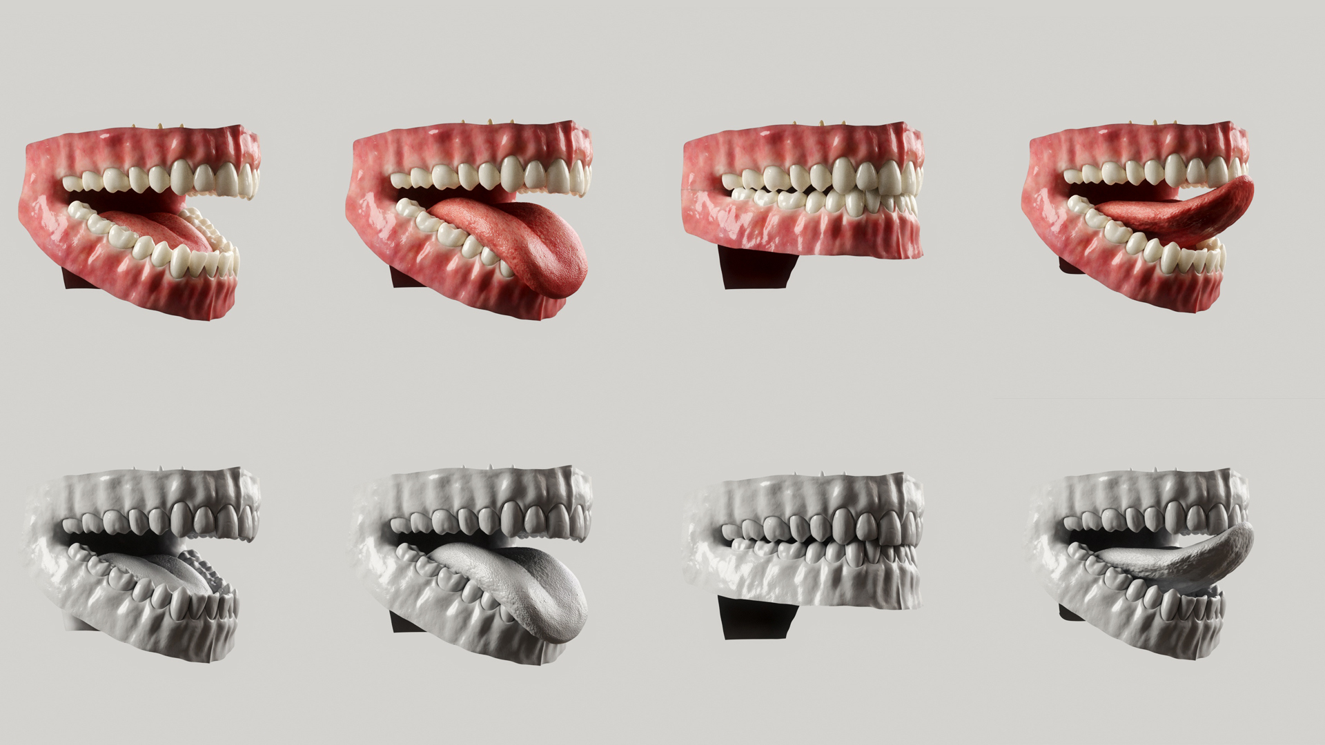 3D Model Realistic Mouth And Teeth Zbrush - TurboSquid 2410603