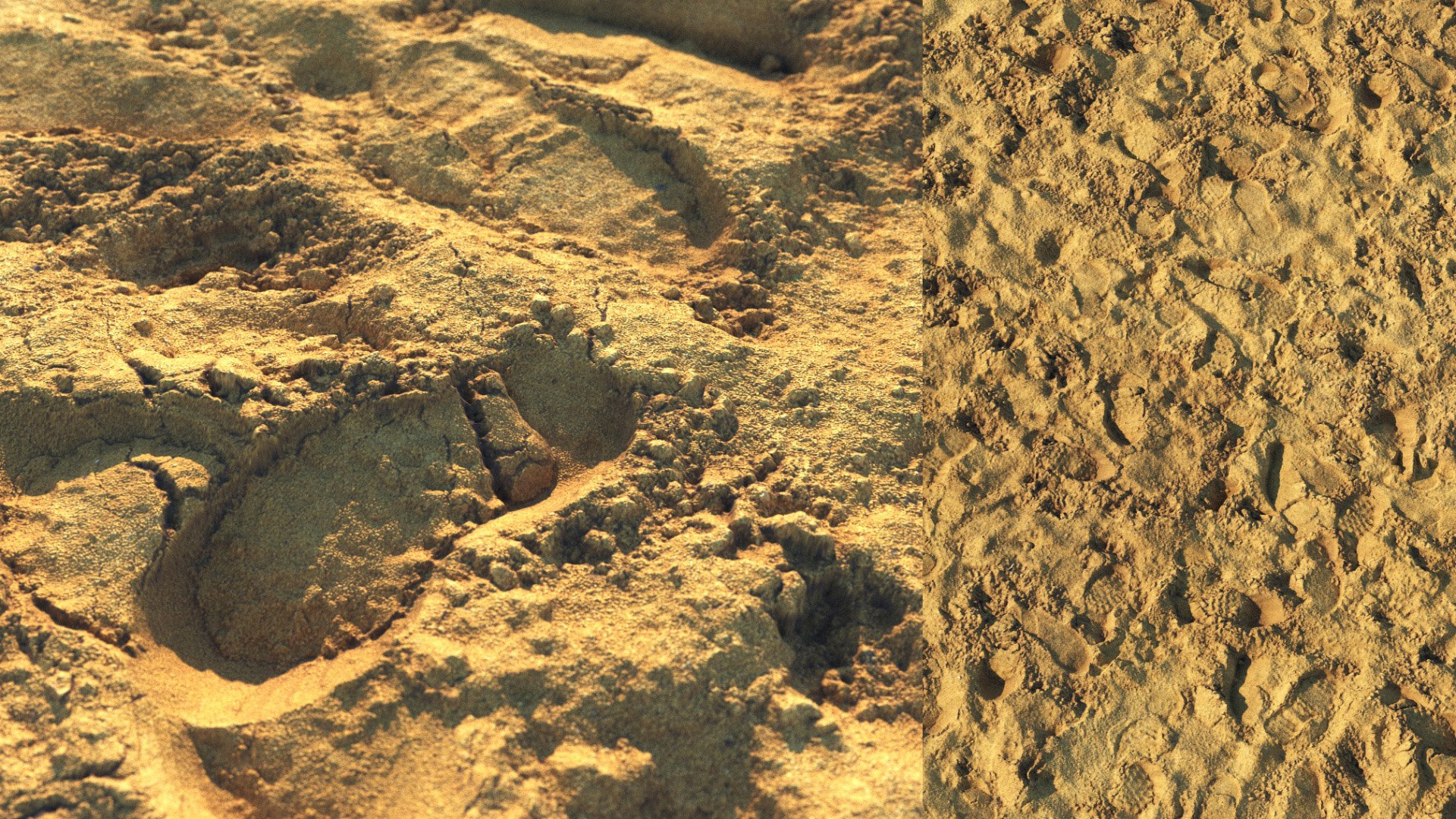 3D Wet sand material with footprints model - TurboSquid 1908433