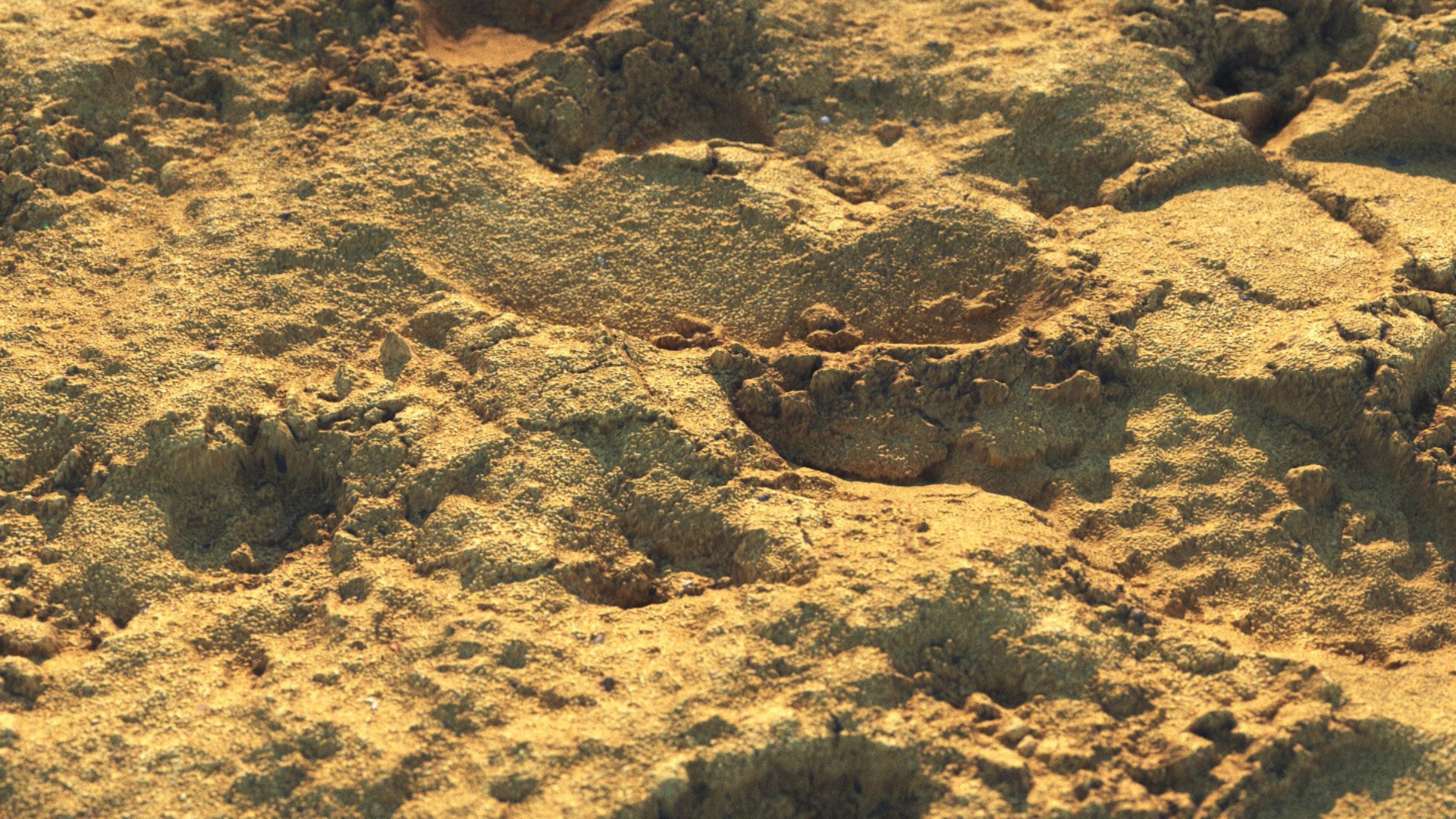 3D Wet sand material with footprints model - TurboSquid 1908433