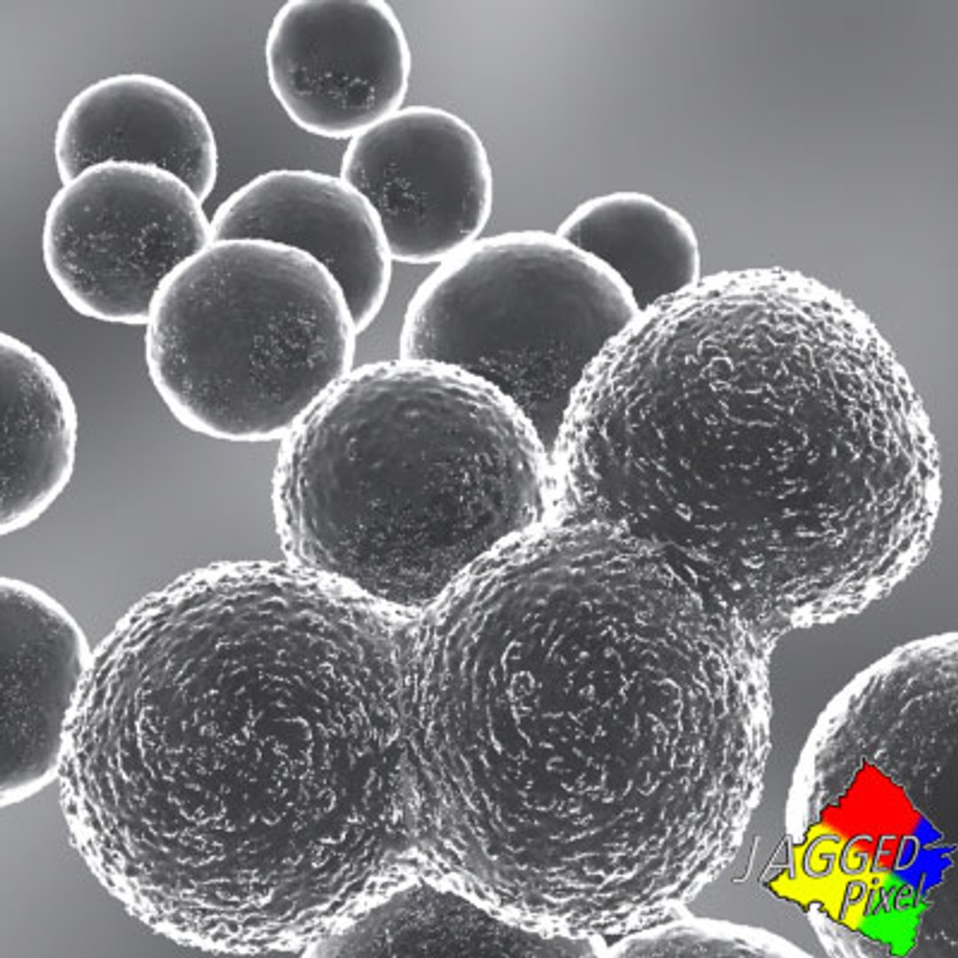 3d staphylococcus aureus