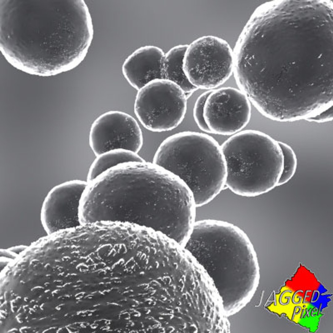 3d staphylococcus aureus