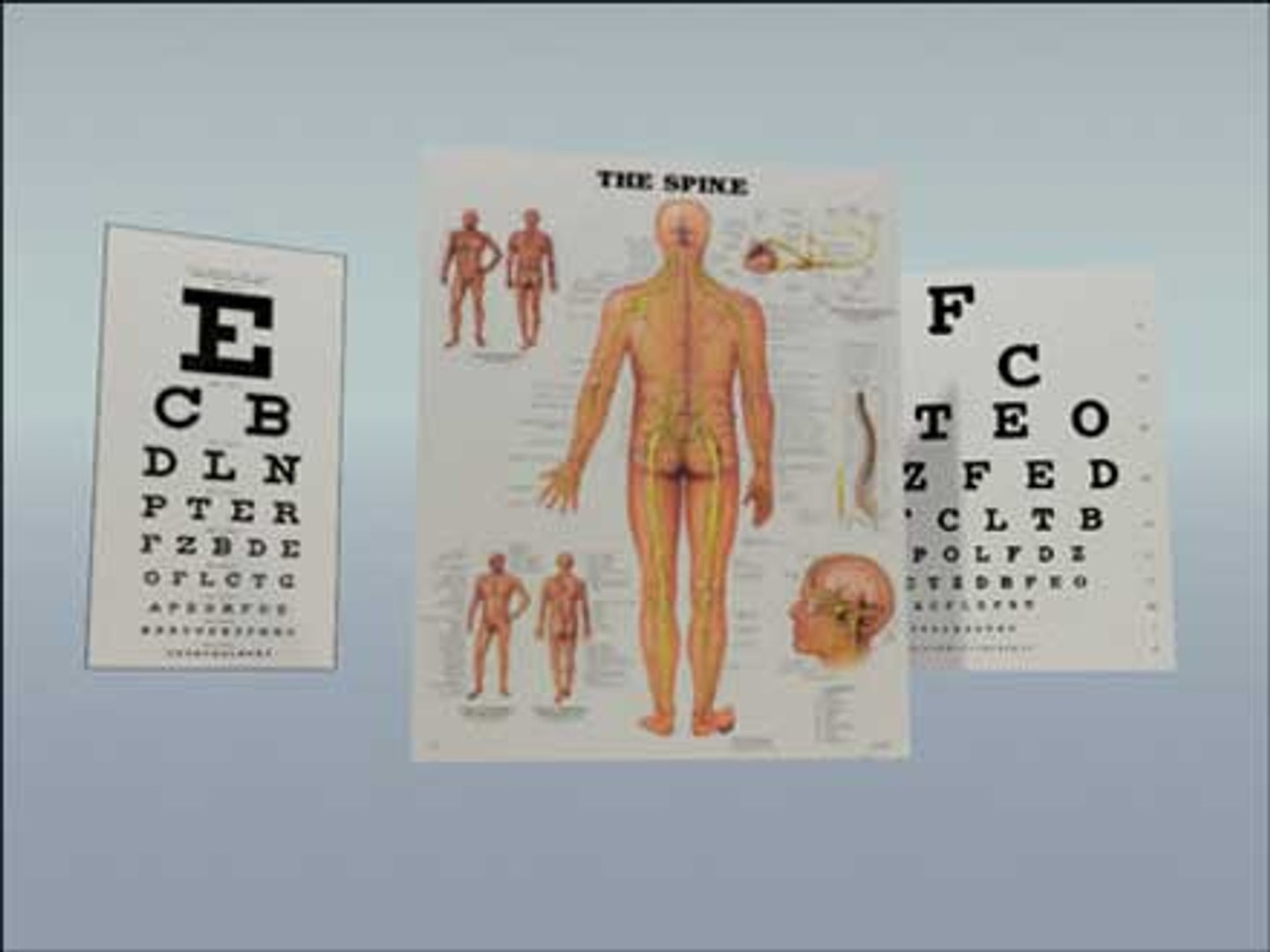 Max Eye Chart