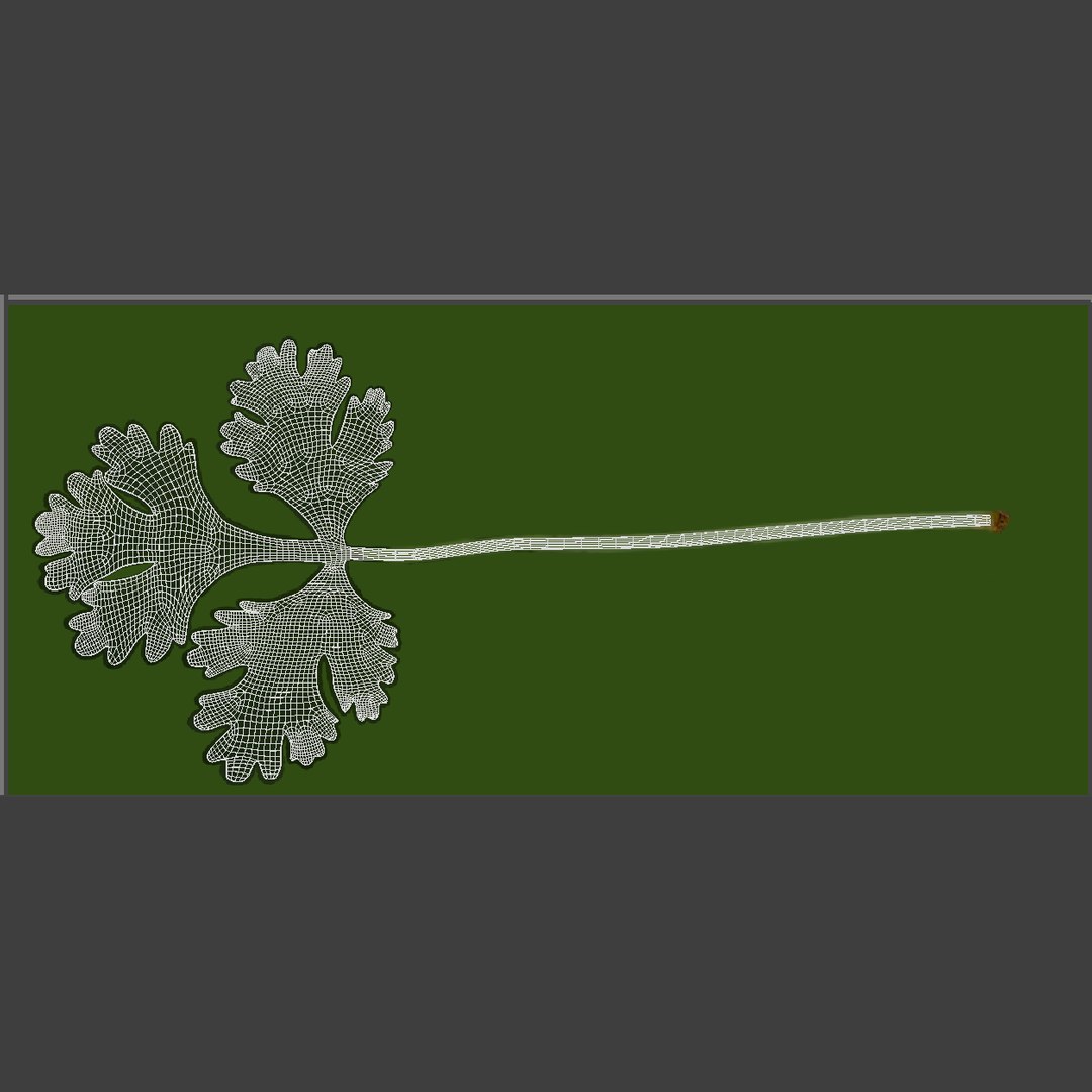 Parsley 3D Model - TurboSquid 2341247