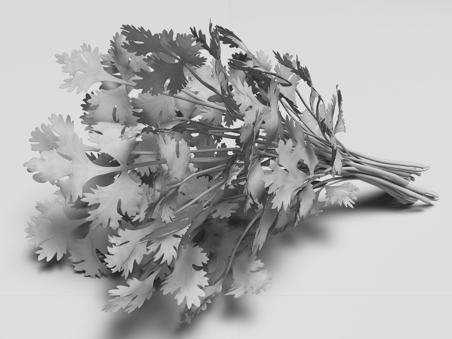 Parsley 3D Model - TurboSquid 2341247