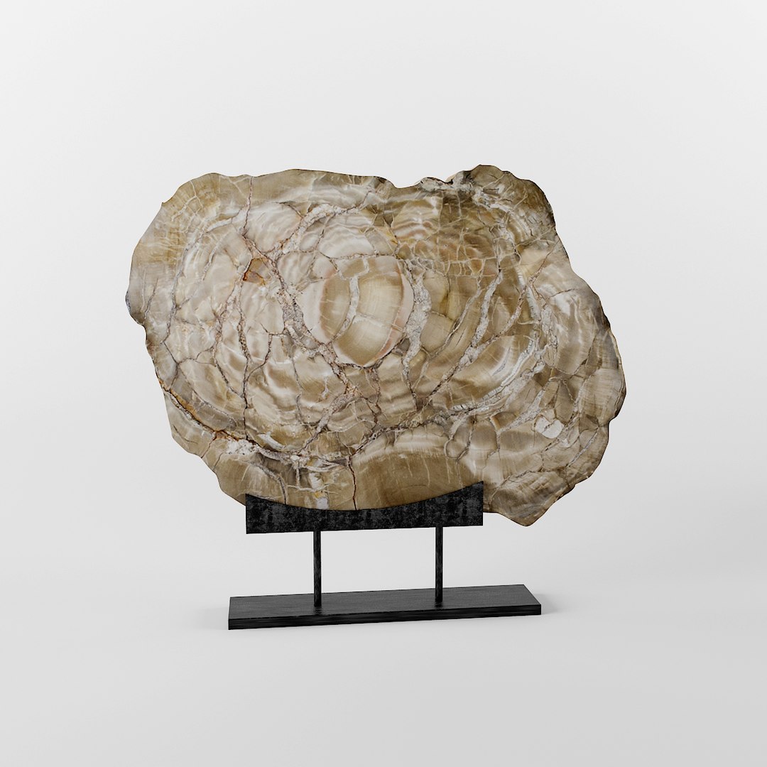 3d petrified figurine