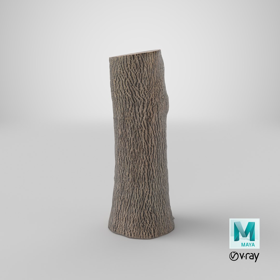 3D tree trunk 02 model - TurboSquid 1530133