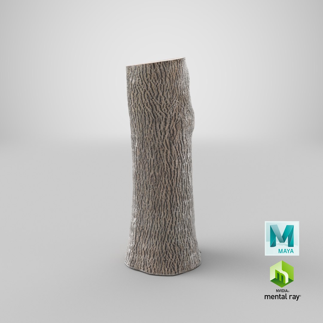 3D tree trunk 02 model - TurboSquid 1530133