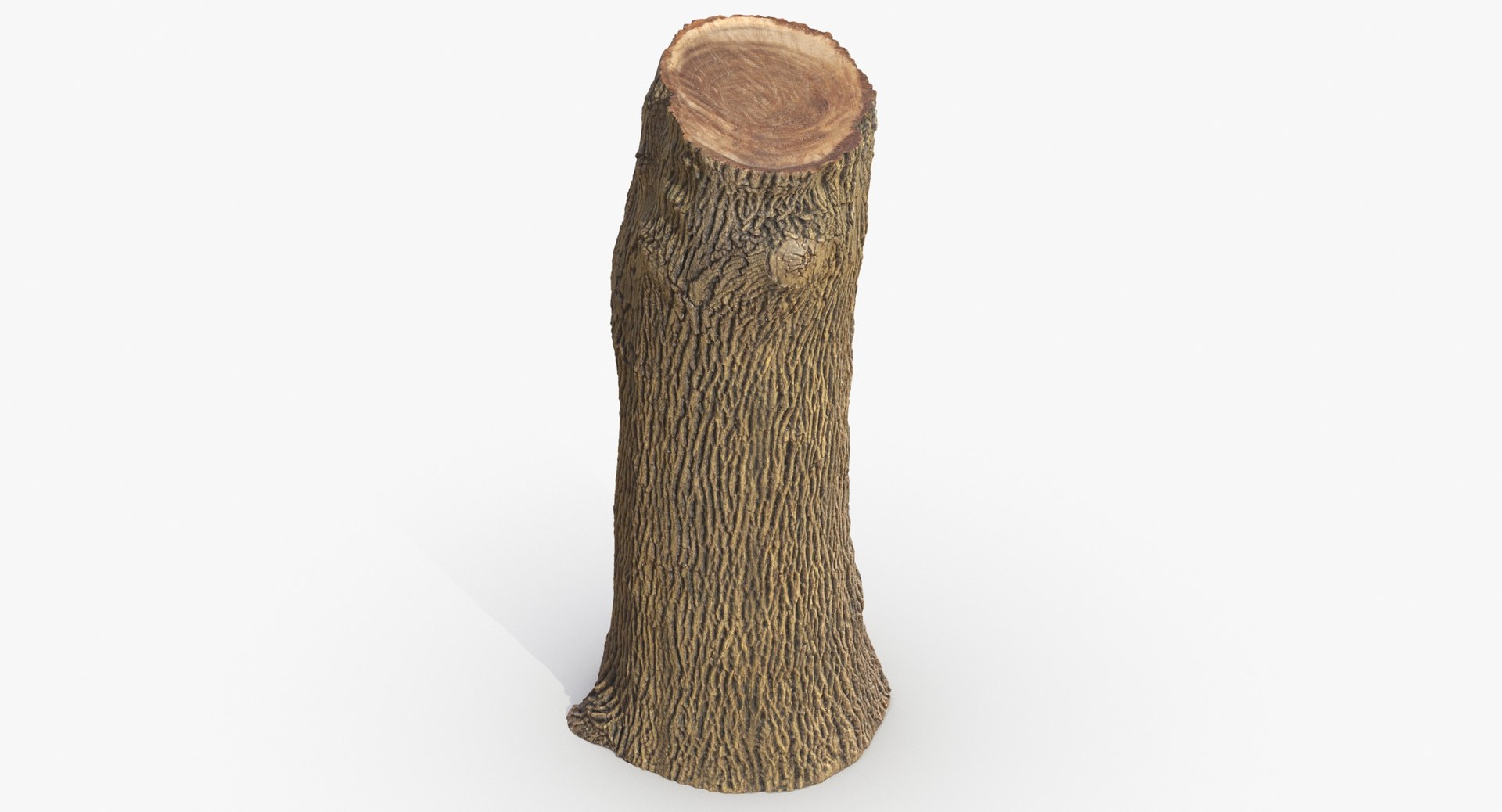 3D Tree Trunk 02 Model - TurboSquid 1530133