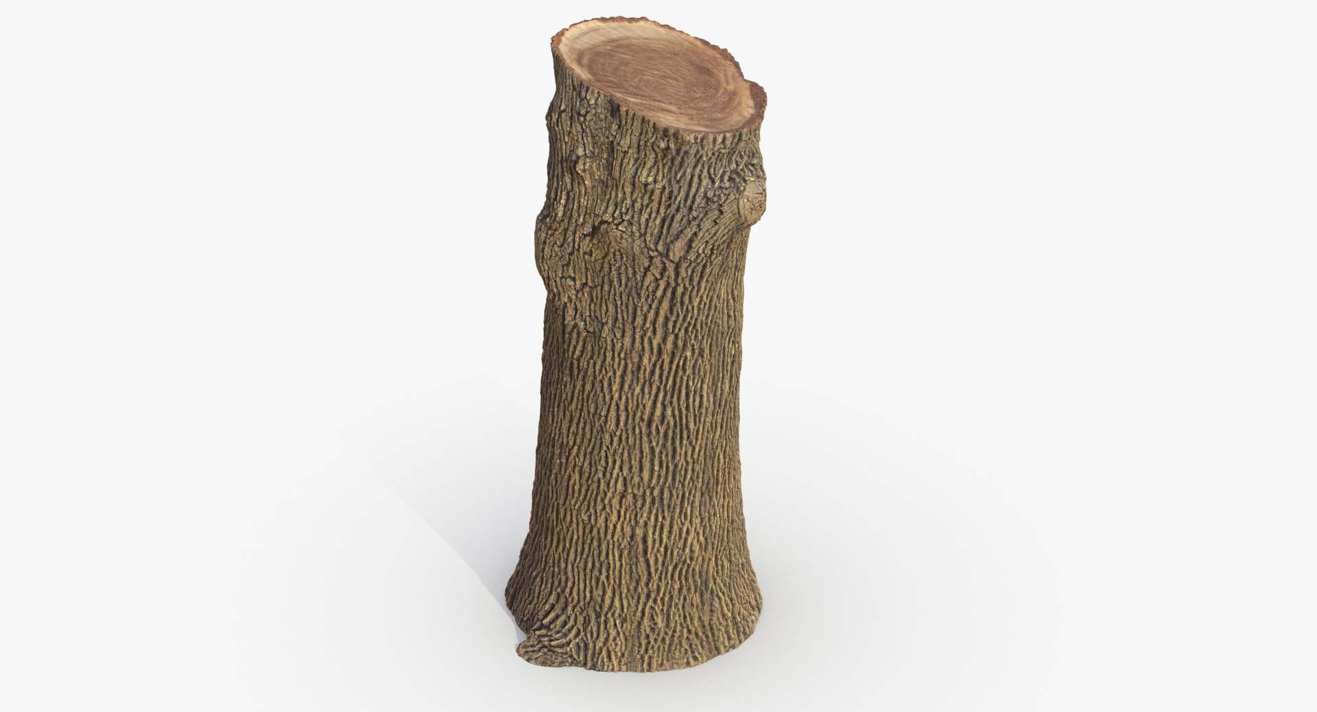 3D Tree Trunk 02 Model - TurboSquid 1530133