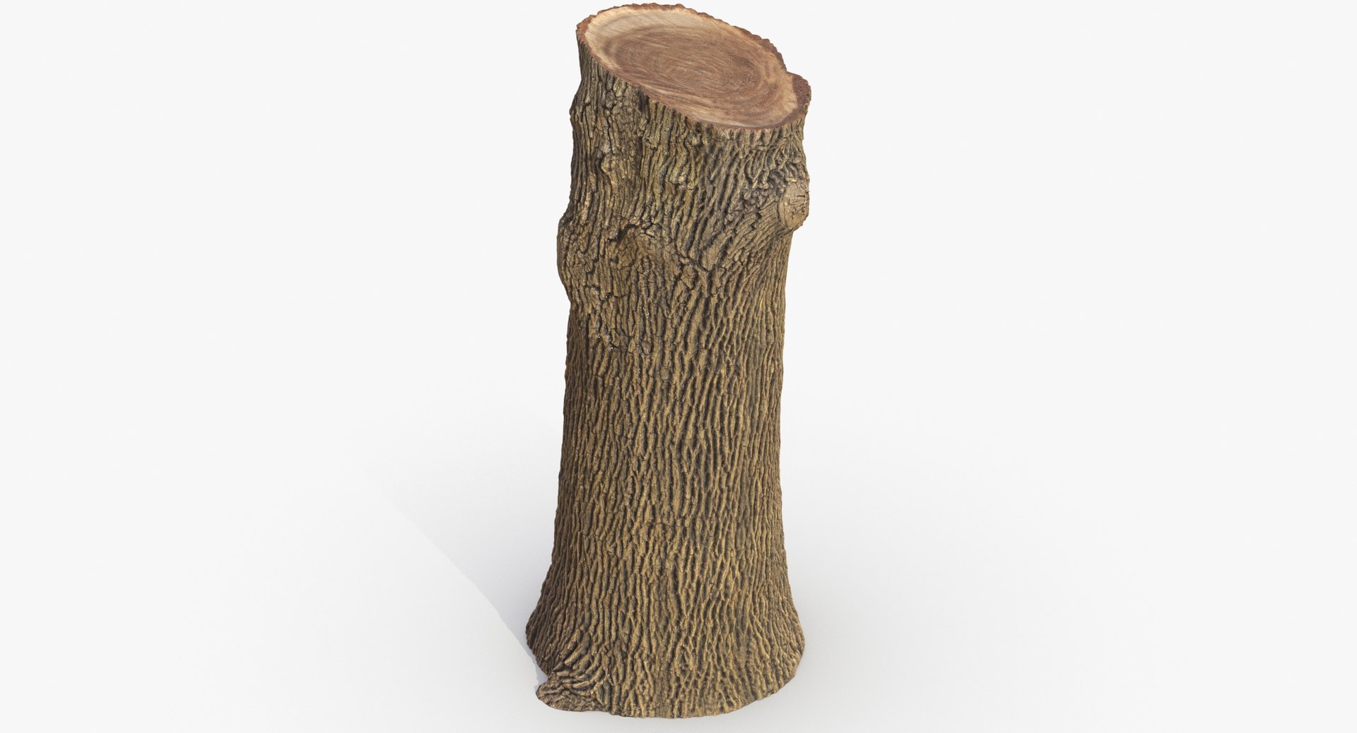 3D tree trunk 02 model - TurboSquid 1530133