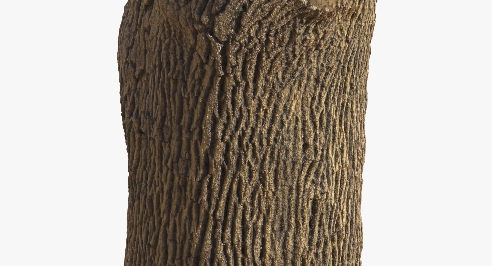 3D Tree Trunk 02 Model - TurboSquid 1530133