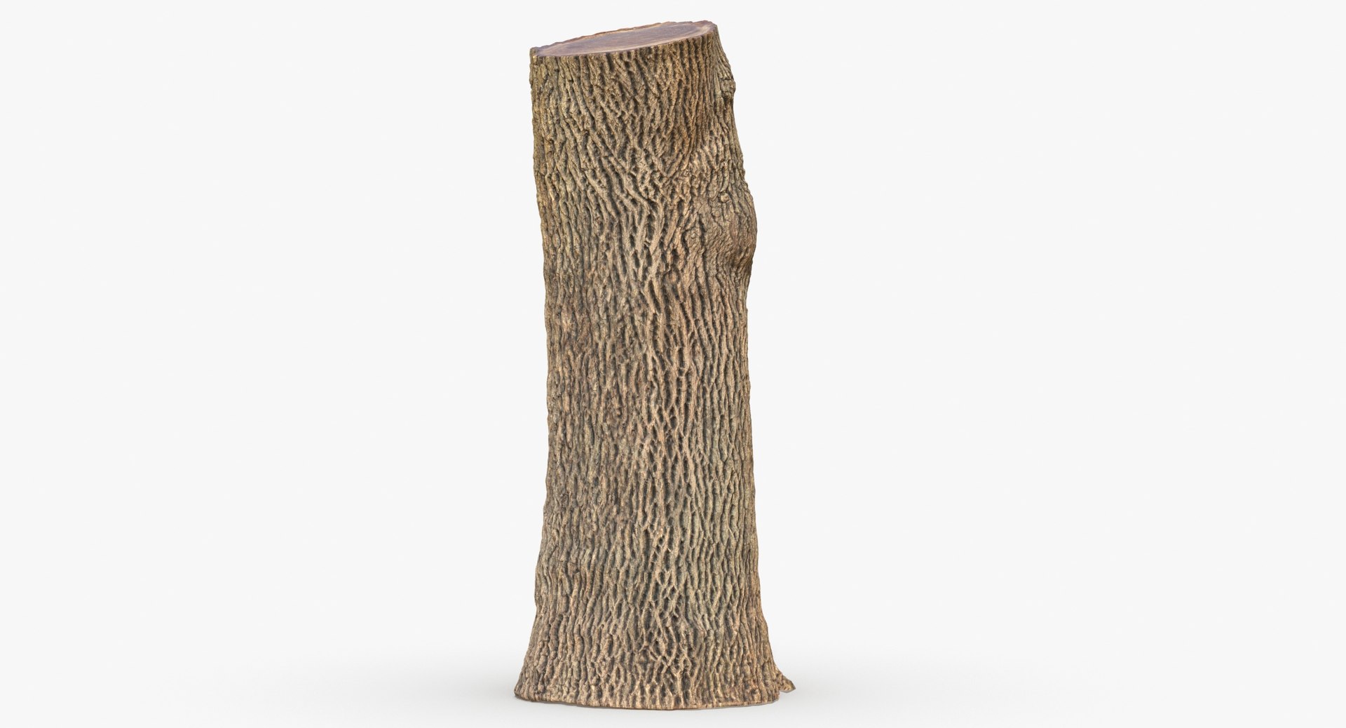 3D Tree Trunk 02 Model - TurboSquid 1530133