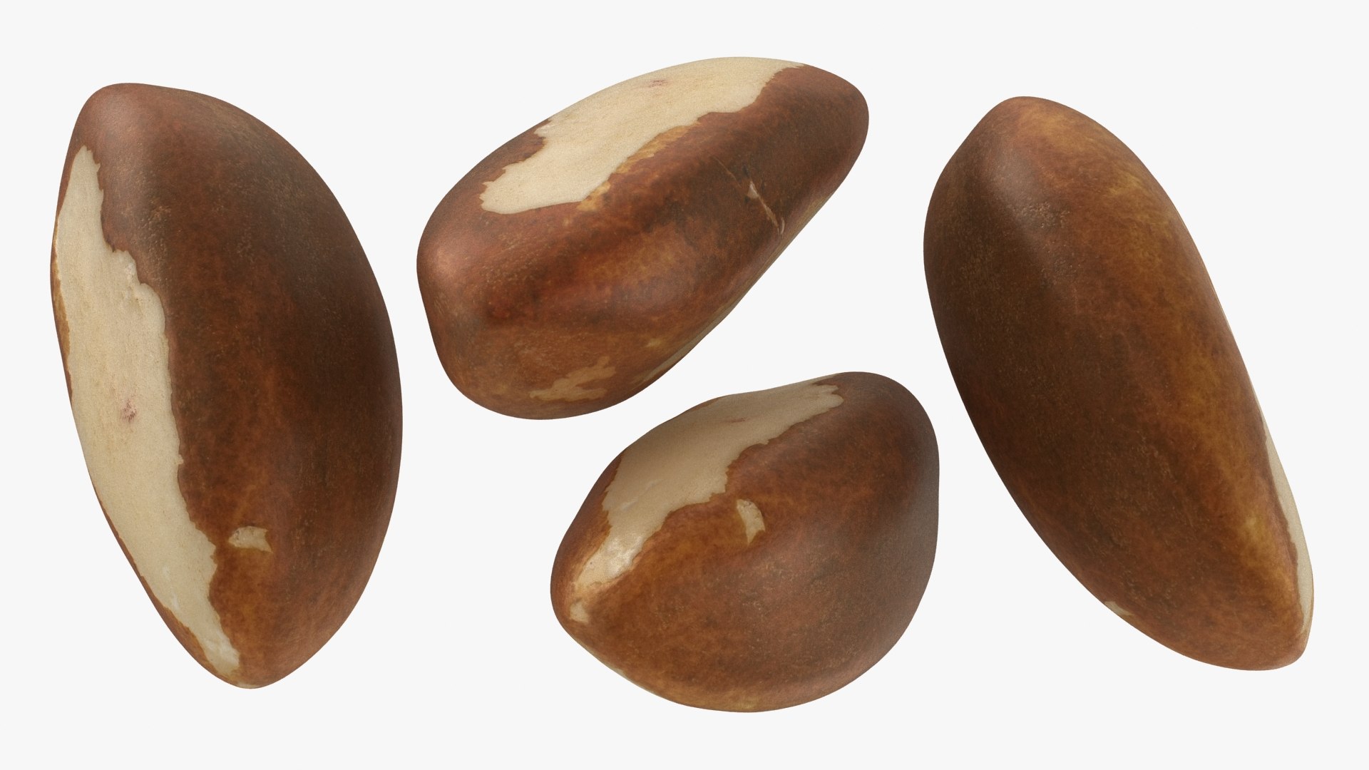 3D Model Brazil Nut 03 - TurboSquid 1949278