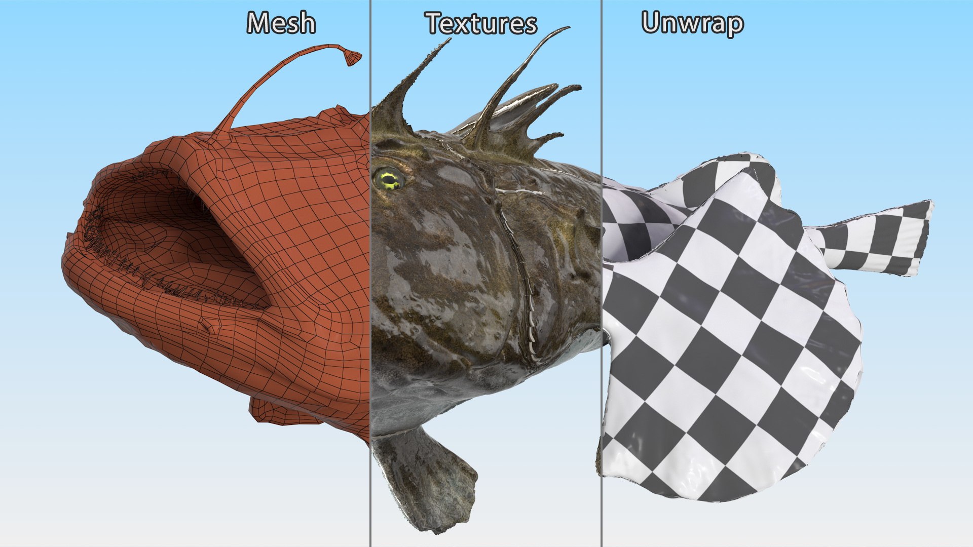 3D Angler Rigged For Cinema 4D - TurboSquid 2252664
