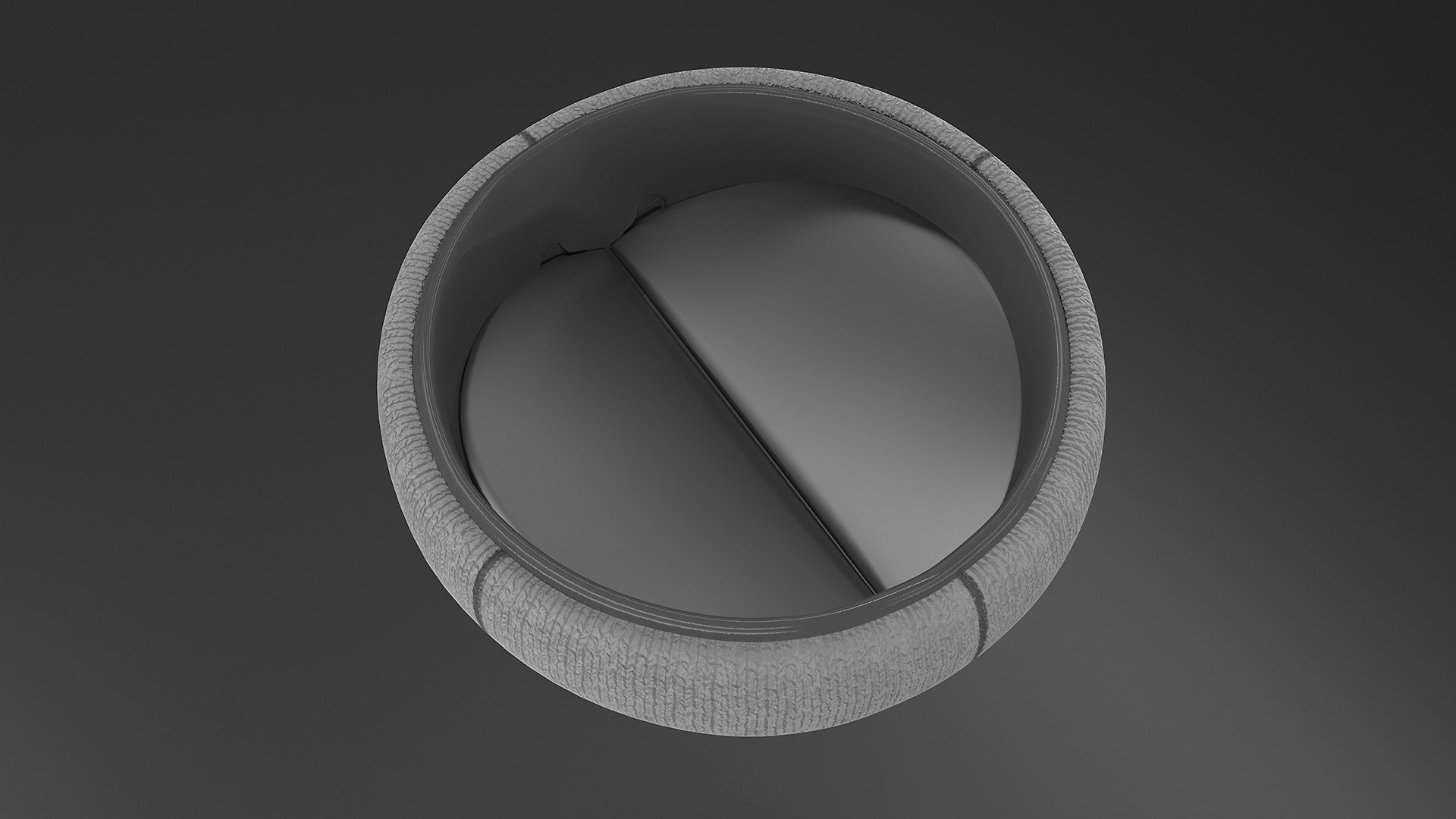 Bileaflet Heart Valve 3D Model - TurboSquid 1963540