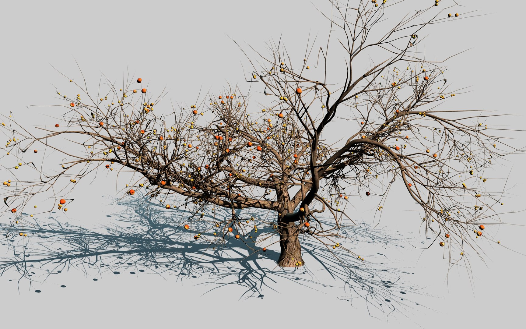 3d Model Apple Tree