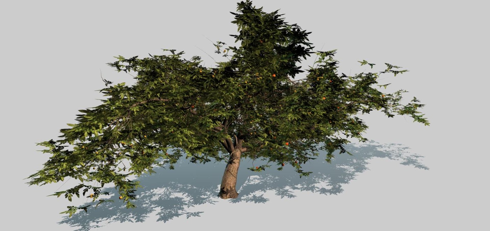 3d Model Apple Tree