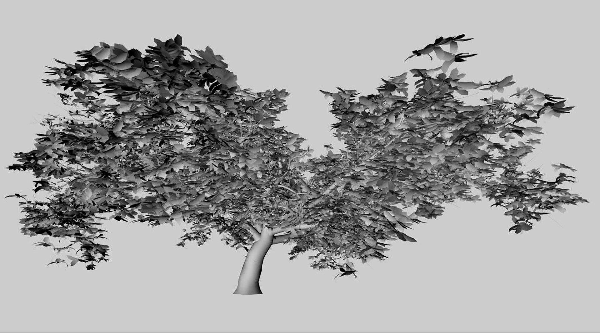 3d Model Apple Tree