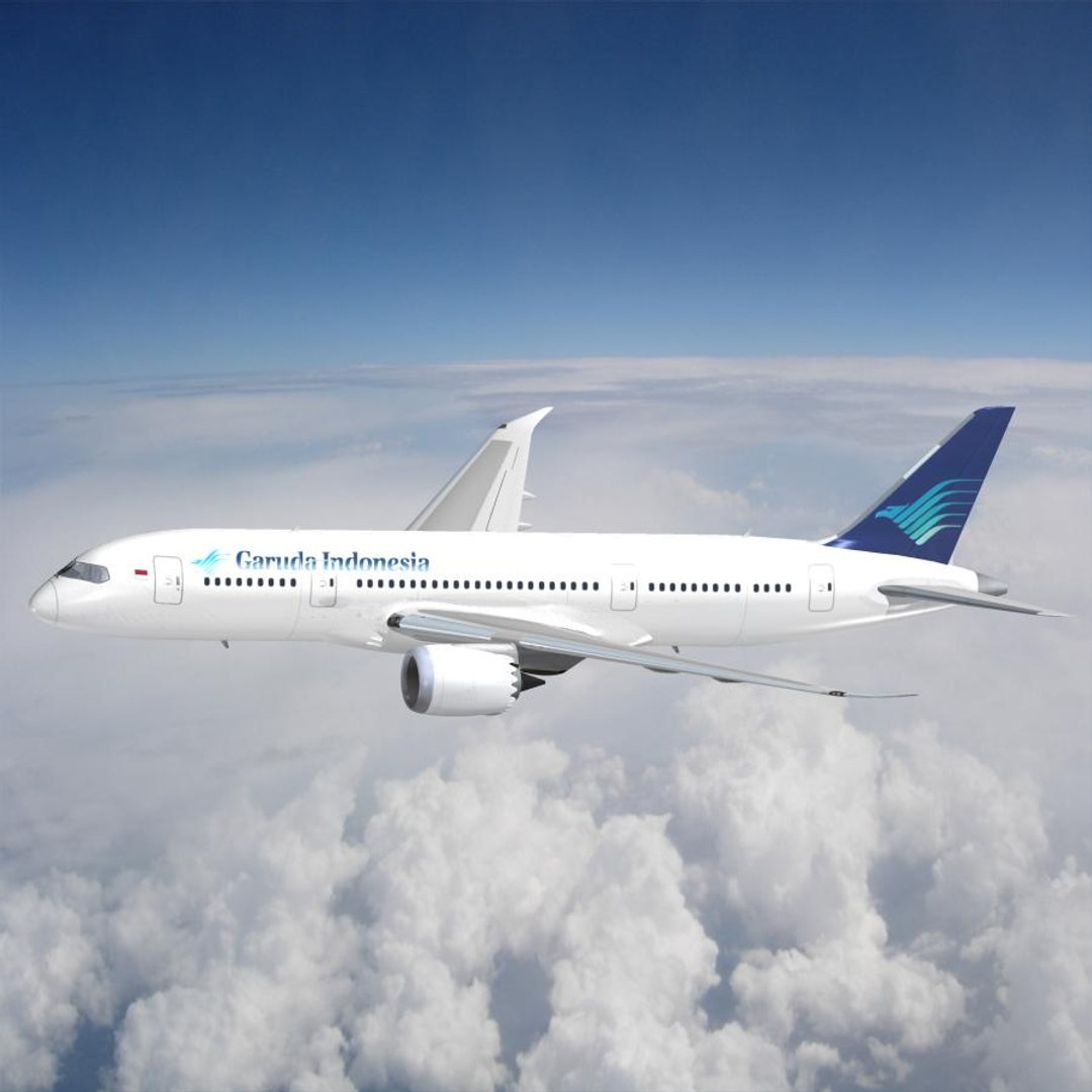 B787-8 Garuda Indonesia 3d Model
