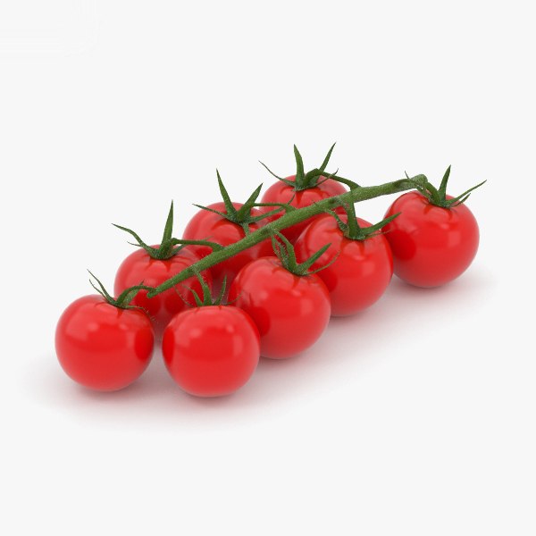 tomato 3d dxf