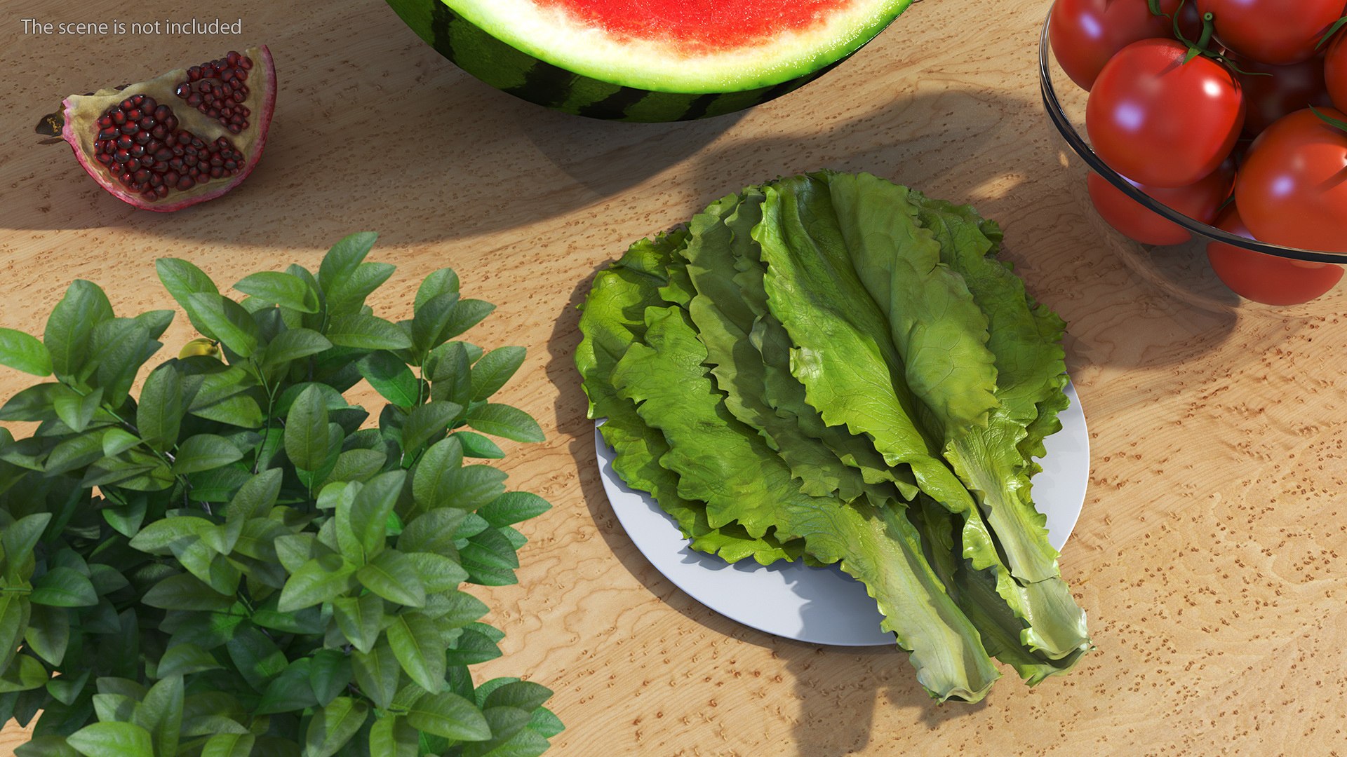 3D Model Lettuce Leaves On Plate - TurboSquid 2209157