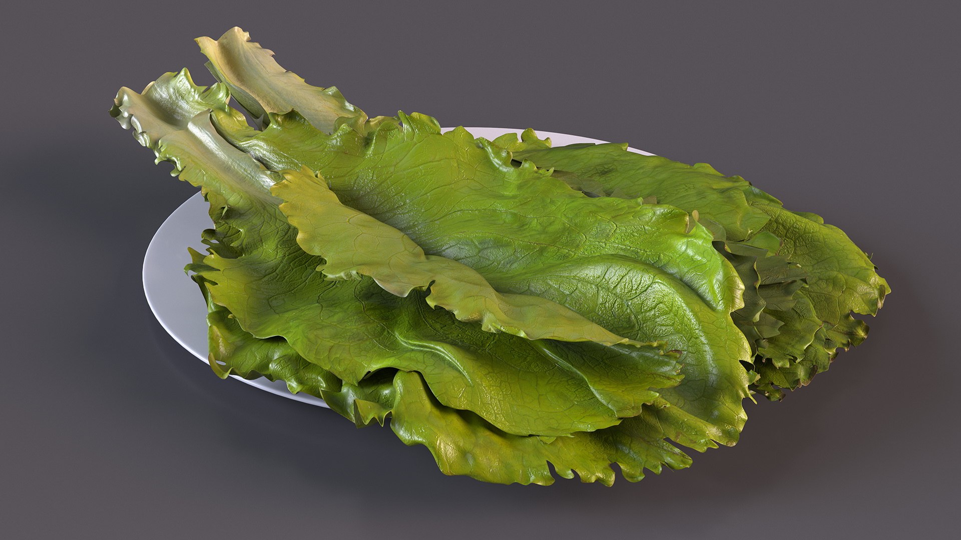 3D Model Lettuce Leaves On Plate - TurboSquid 2209157
