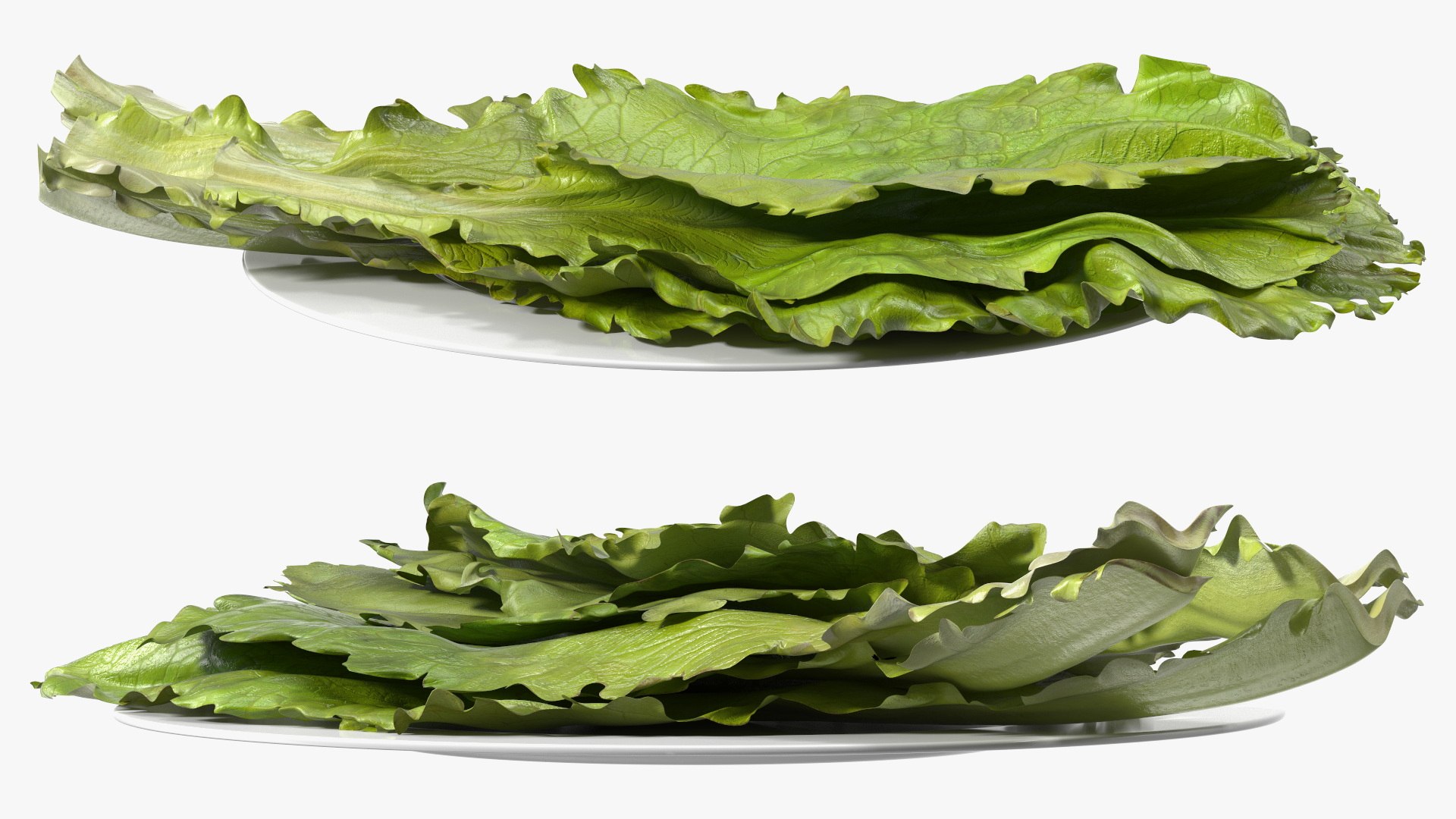 3D Model Lettuce Leaves On Plate - TurboSquid 2209157