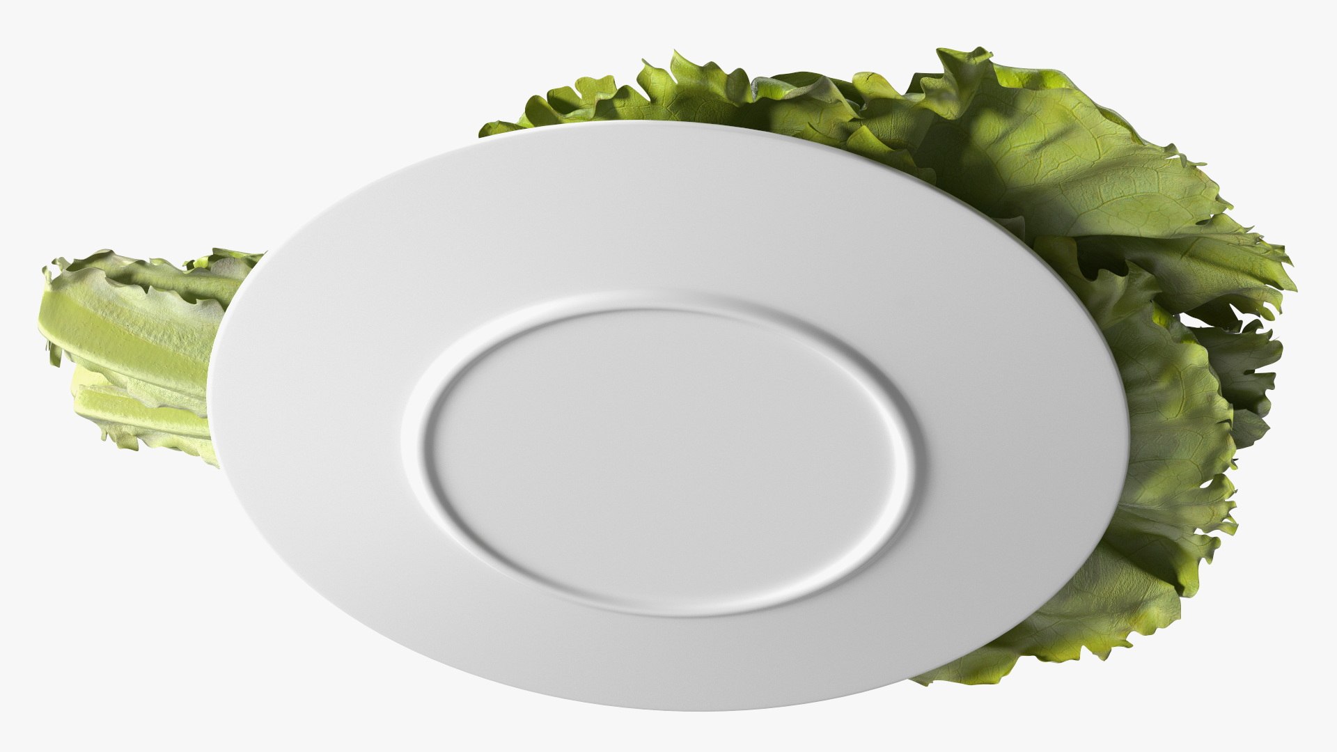 3D Model Lettuce Leaves On Plate - TurboSquid 2209157